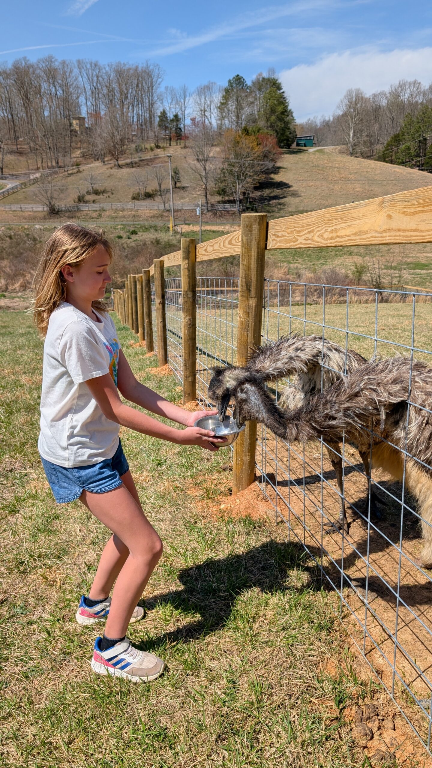 Feature Creatures Zoo Opens April 1 For 2025 – Tennessee Community Magazine
